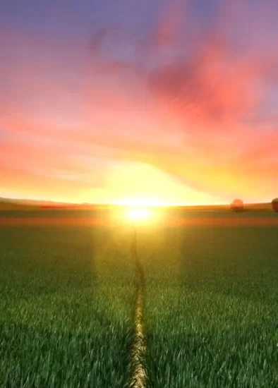 Zöld befektetés – A napelem befektetés